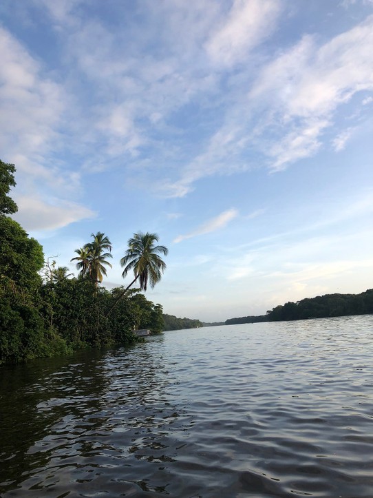 Costa Rica – Pococí – Costa Rica