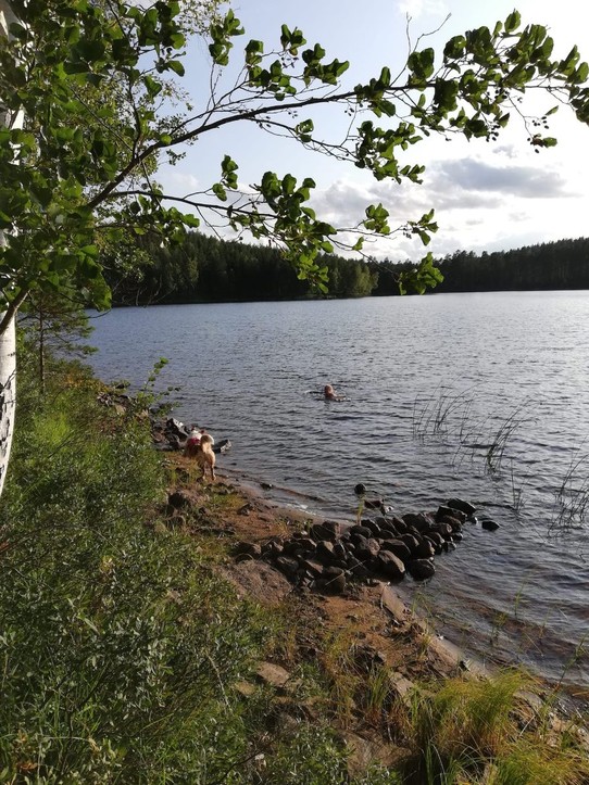 Dänemark - Schweden - Norwegen – Gislaved – Sverige