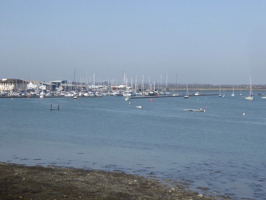 Two Bullocks on a Boat in Eire – Portmarnock – Ireland