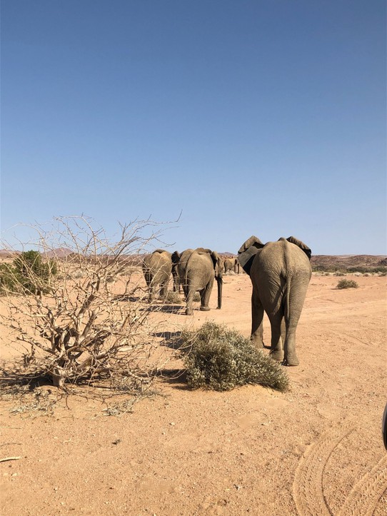 Träume erleben – Uis – Namibia