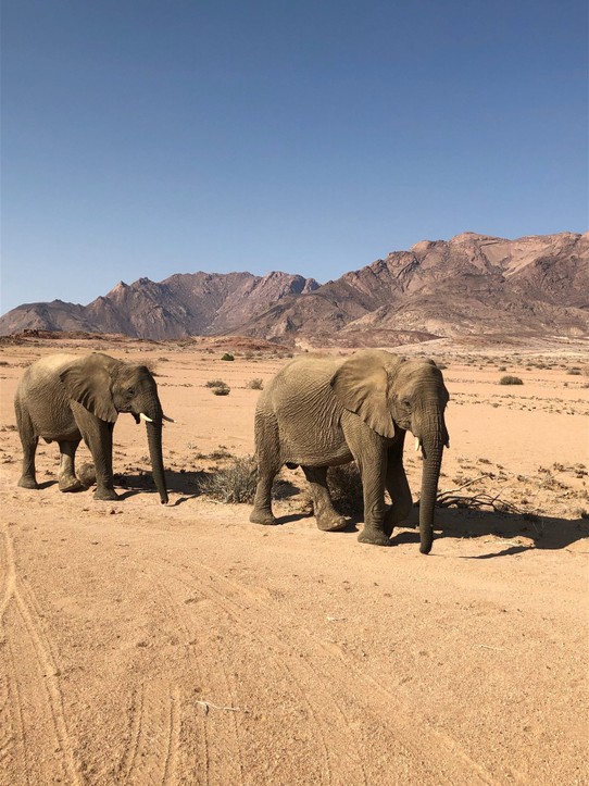 Träume erleben – Uis – Namibia